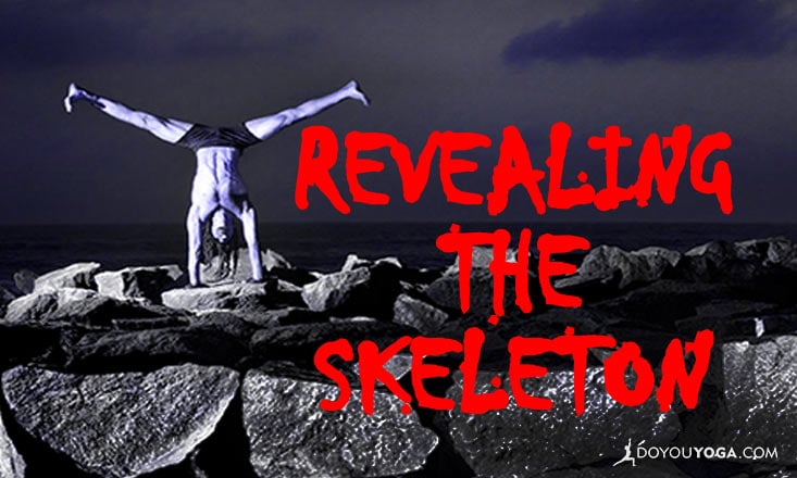 Revealing The Skeleton Your Bones And Their Functions DoYou